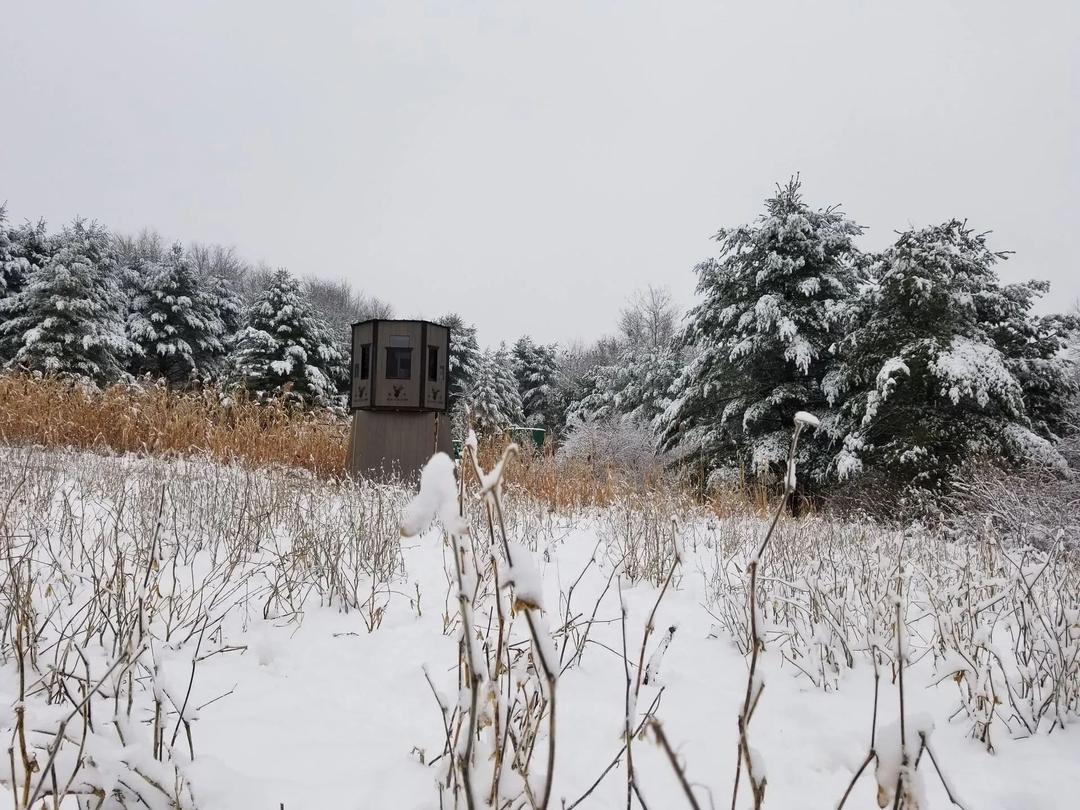Reviews - D & M Hunting Blinds LLC